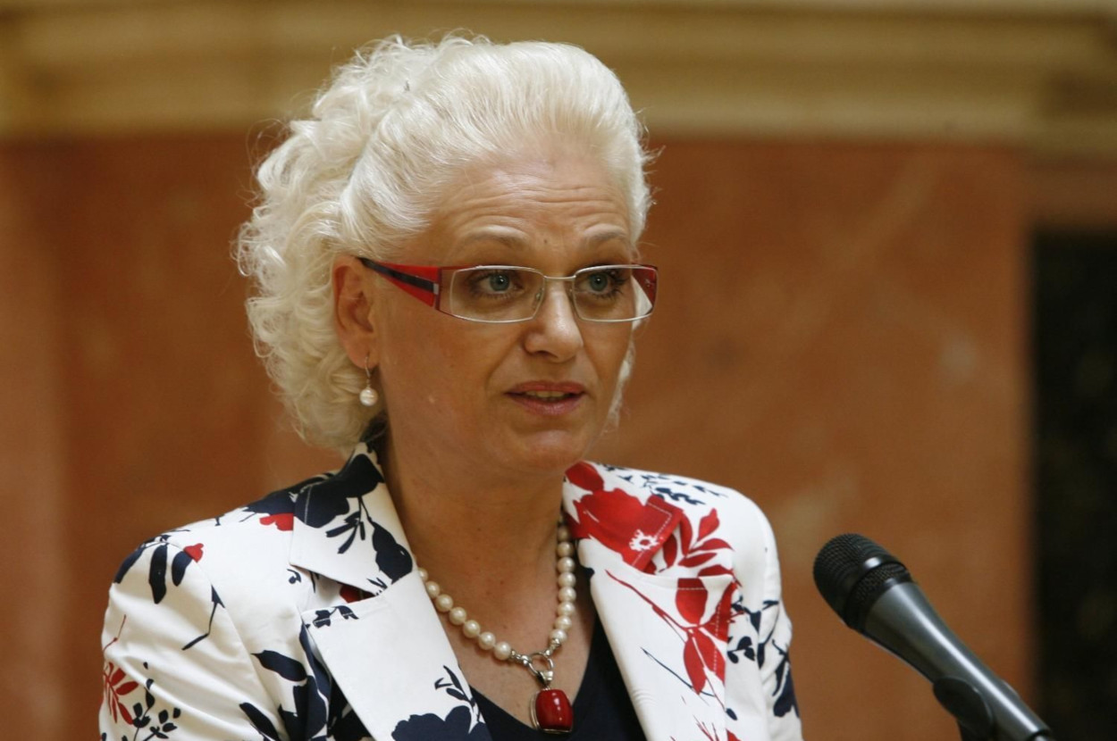 Prokopaćemo kanal Dunav-Morava-Vardar - Istinomer