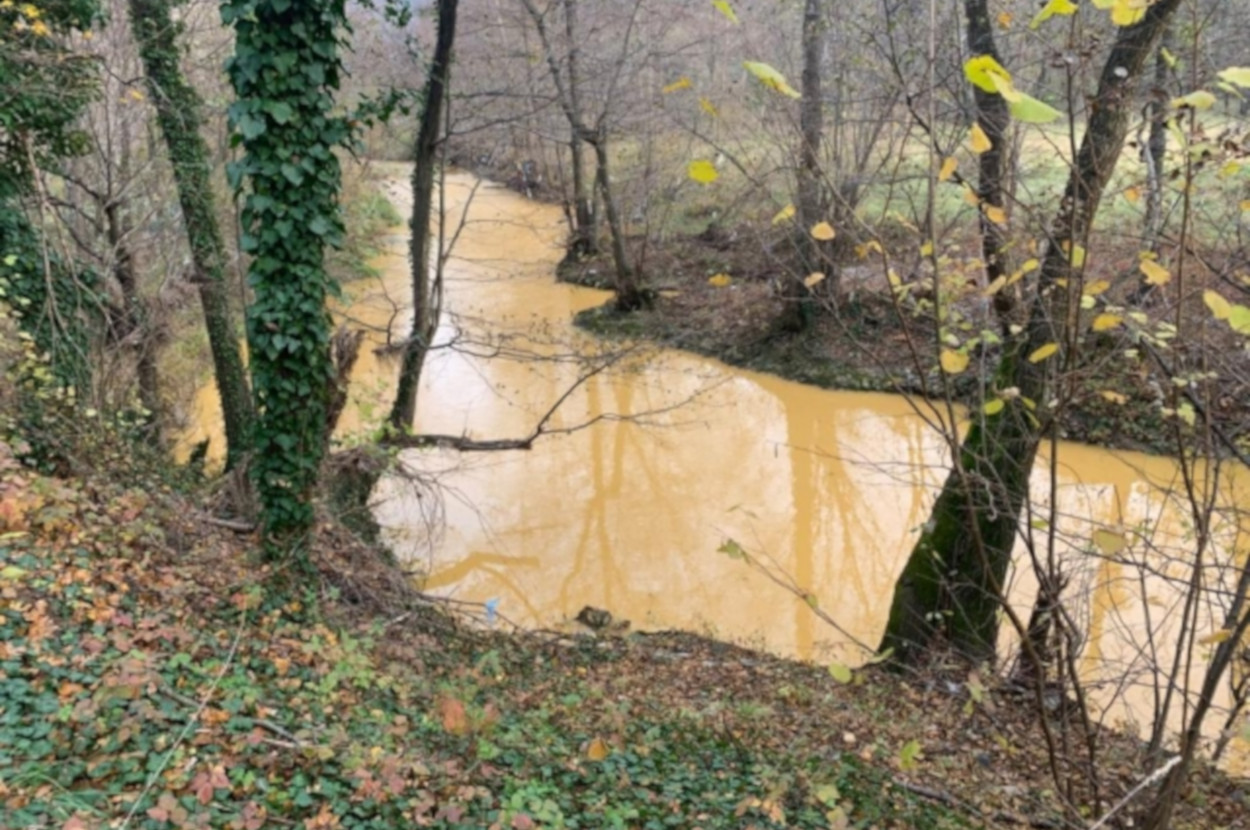 Reka Pek u Kučevu „premazana” svim bojama - Istinomer