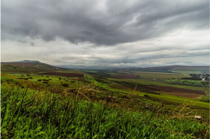 Hitin i insekti u ljudskoj ishrani - brzim korakom od istine do ...