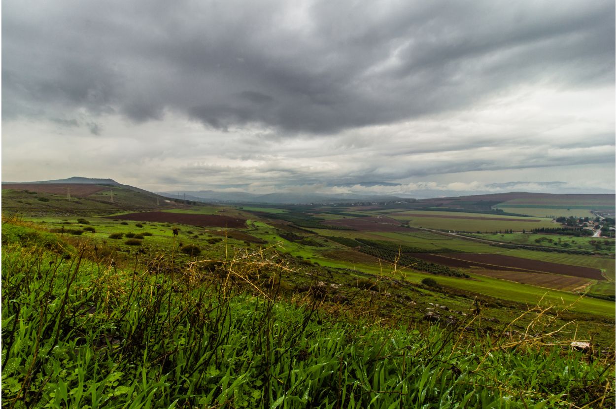 Hitin i insekti u ljudskoj ishrani - brzim korakom od istine do ...